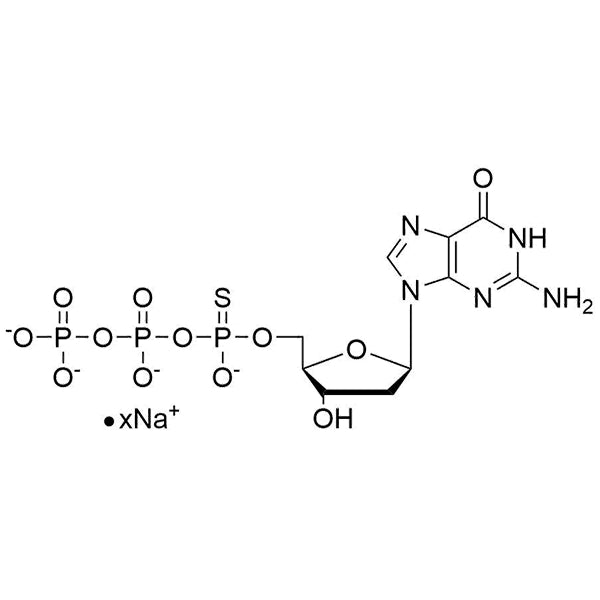 dGTPαS (alpha-Thio-dGTP) for Investigating DNA-Protein Crosslinking ...