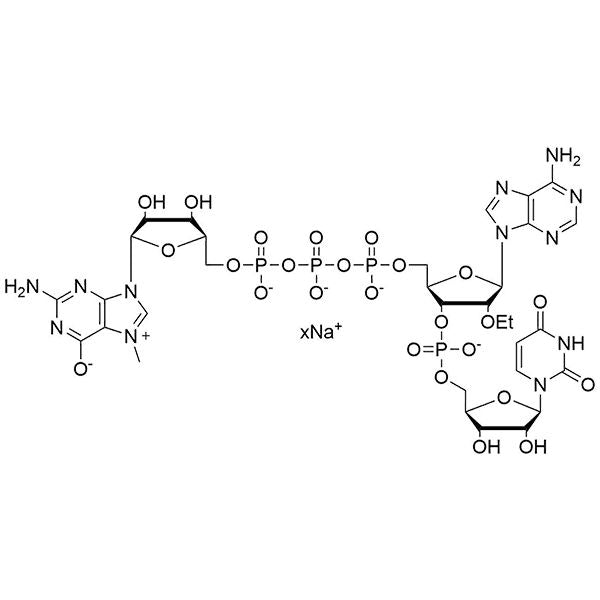 Dinucleotide Cap Analog for In Vitro Transcription Studies – Hongene ...
