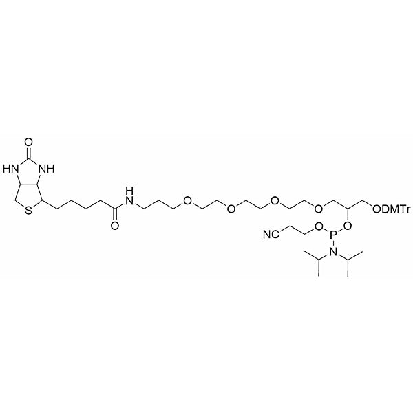 Biotin-TEG Amidite for Pulldown Assays & EMSA Probes – Hongene Online Store