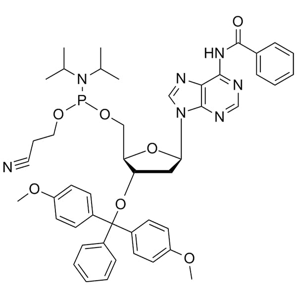 Reverse dA(Bz) Amidite for DNA Aptamer Engineering – Hongene Online Store
