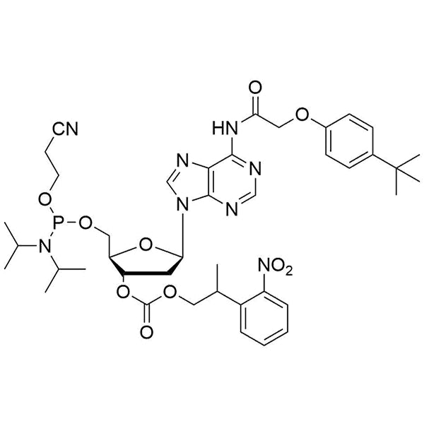 Reverse NPPOC-dA Amidite for 3'->5' Light-Directed Synthesis – Hongene ...