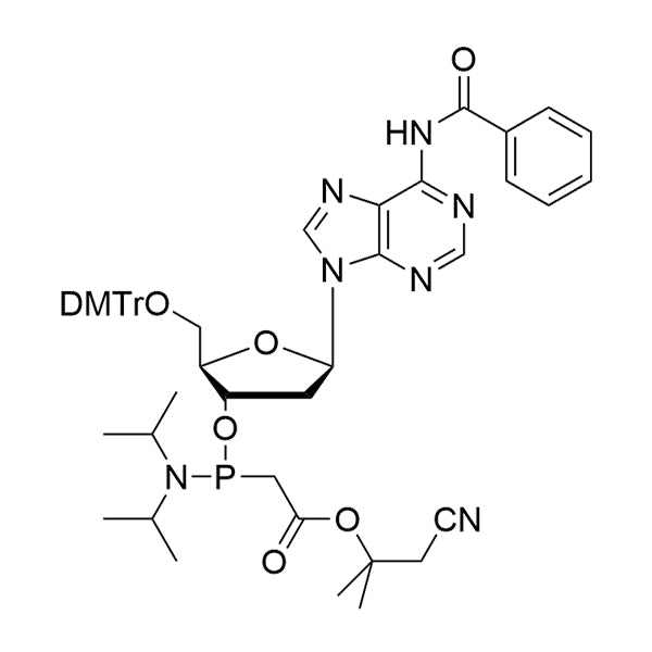 dA PACE Amidite for Oligos with Base-Labile Modifications – Hongene ...