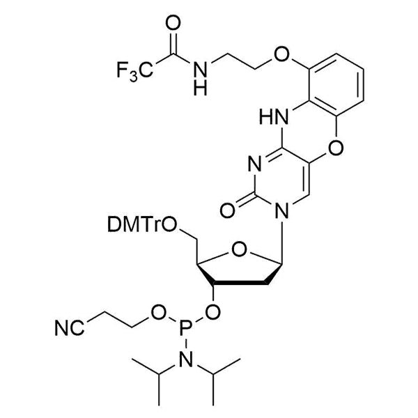 AP-dC Amidite for Studying DNA Repair and Mutagenesis – Hongene Online ...