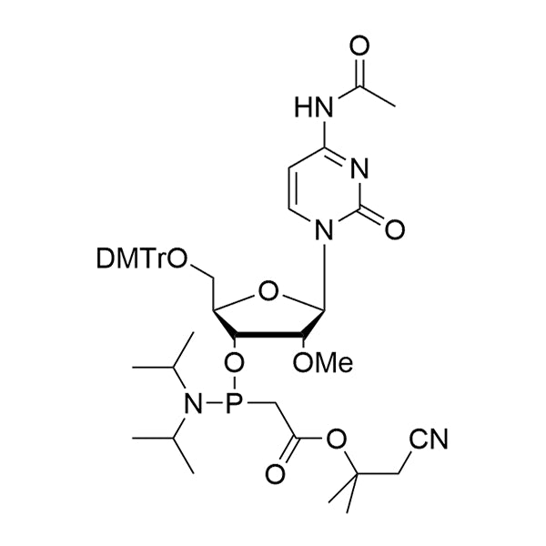 2'-OMe-C(Ac) PACE Amidite for RNA-Peptide Conjugate Research – Hongene ...