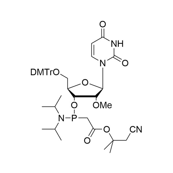 2'-OMe-U PACE Amidite for RNA Synthesis on Microarrays – Hongene Online ...