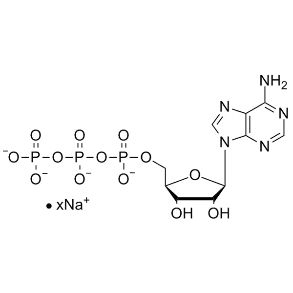ATP Sodium Salt Solution (200mM) for Cell-Free Protein Synthesis ...