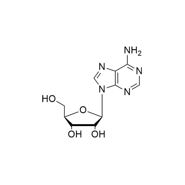 2'-O-Me-Adenosine Amidite for Nuclease-Resistant RNA Probes – Hongene ...