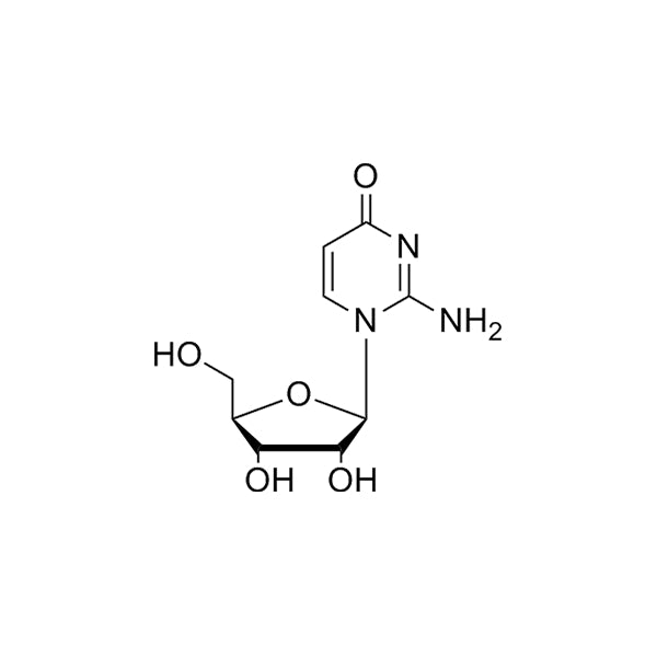 Isocytidine for Expanded Genetic Alphabet & Aptamer Research – Hongene ...