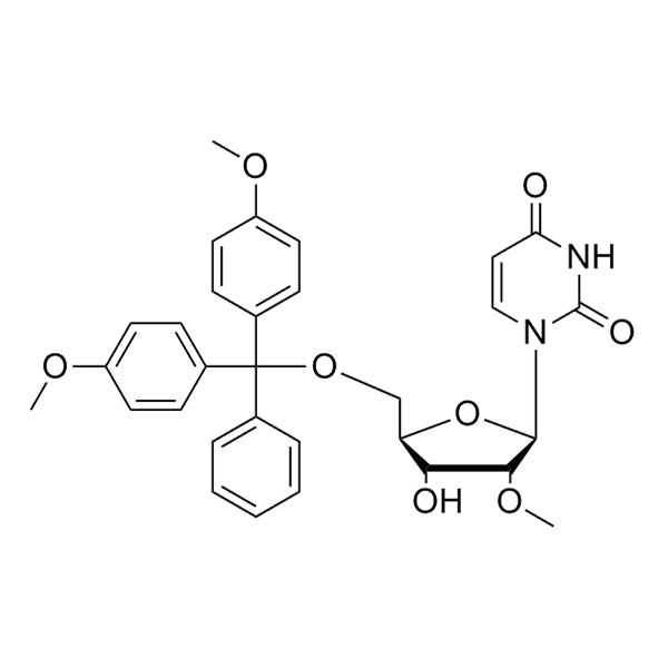 2'-OMe Uridine for In Vitro Transcription & RNA Research – Hongene ...
